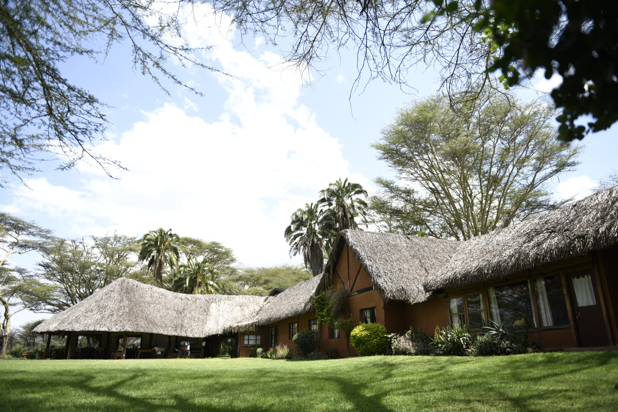 Lewa Marks World Wetlands Day 2021 - Lewa Wildlife Conservancy