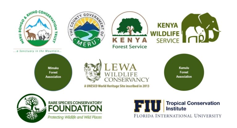 Kenya on the path to establish new Mountain Bongo and Black Rhino ...