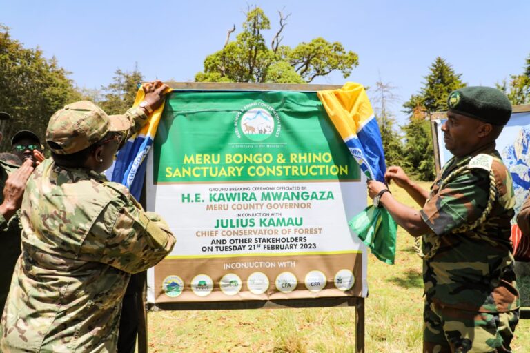 Ground Breaking of the Bongo and Rhino Sanctuary in Mt. Kenya - Lewa ...