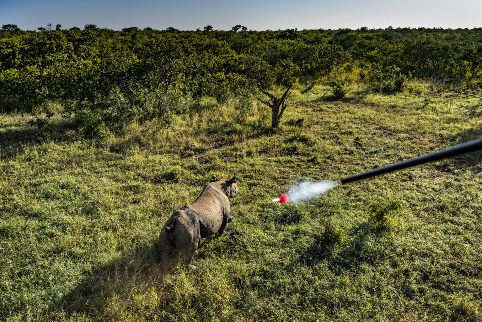 Lewa Wildlife Conservancy