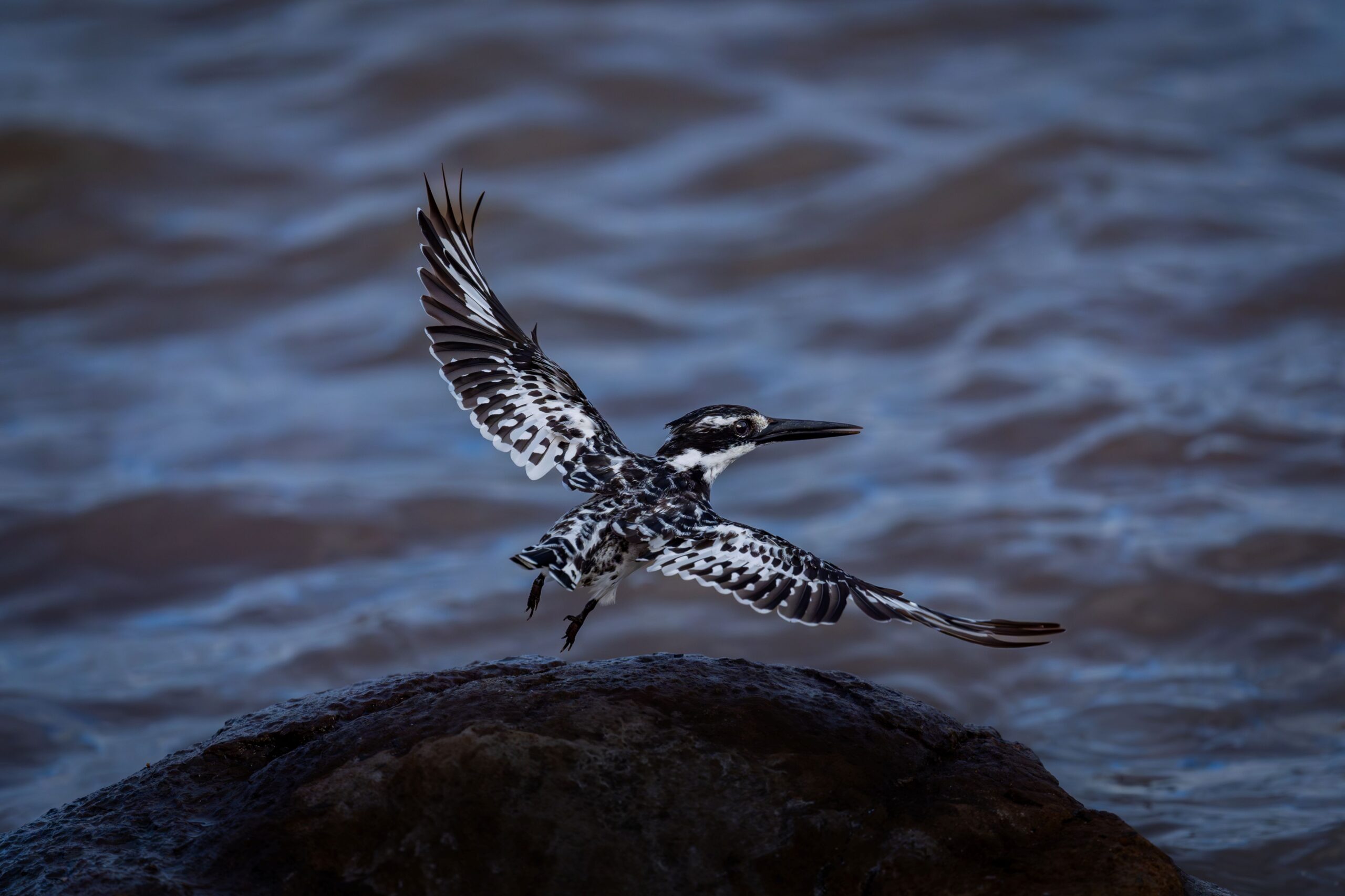 The Essence of Life: Celebrating World Water Day - Lewa Wildlife ...