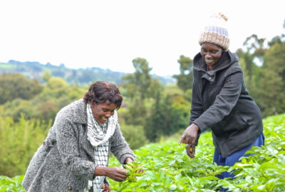 Lewa Wildlife Conservancy