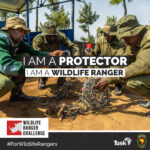 Wildlife Ranger Challenge 2025 Launches to Celebrate Conservation ...