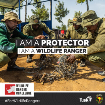 Wildlife Ranger Challenge 2025 Launches to Celebrate Conservation ...