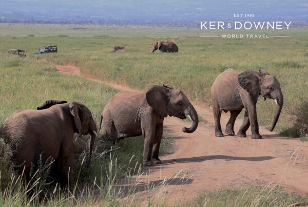 Wildlife Ranger Challenge 2025 Launches to Celebrate Conservation ...